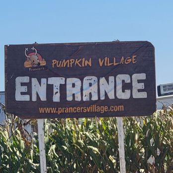 PRANCERS FARM - Updated November 2024 - 141 Photos & 41 Reviews - 18540 ...