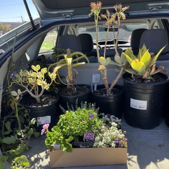 FLOWERCRAFT GARDEN CENTER - Updated January 2025 - 704 Photos & 229 ...