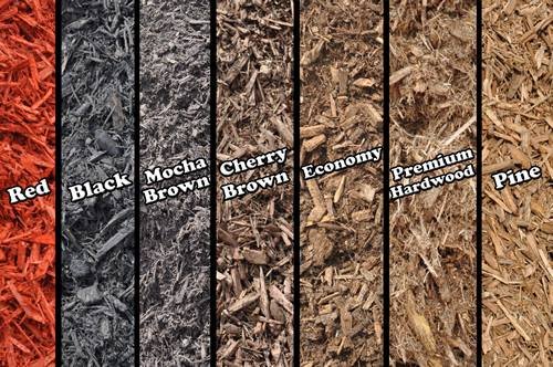 KACHUR TREE SERVICE - Updated December 2025 - 45 Photos - 316 Fulkerson ...