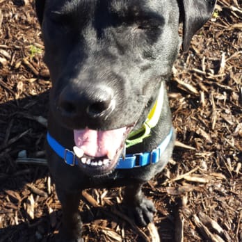 WHATCOM HUMANE SOCIETY - Updated March 2025 - 124 Photos & 40 Reviews ...