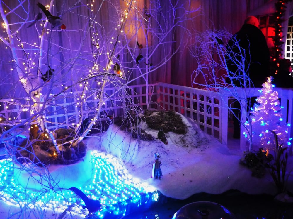 SNOWDONIA NURSERIES - Updated June 2025 - Llanrwst Road, Glan Conwy ...