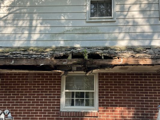 DAVID THE HANDYMAN - Updated March 2026 - 25 Photos - Wind Gap ...