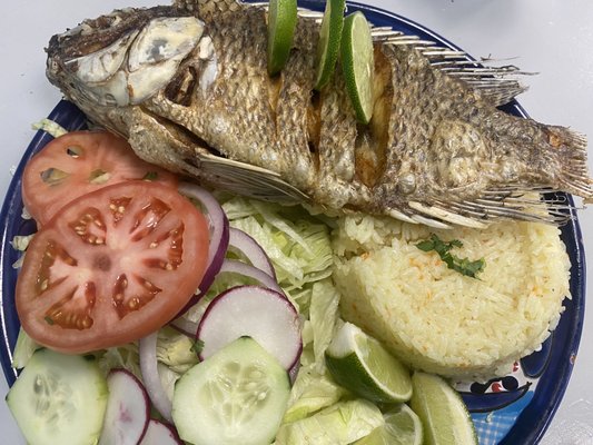 EL PALACIO DE MARIA - 14 Photos - 540 Halstead Ave, Mamaroneck, New ...