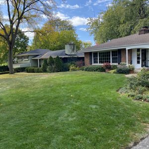 L & P TREE SERVICE - Updated December 2024 - 14 Photos & 29 Reviews ...