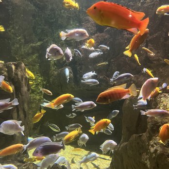 WILDLIFE WORLD ZOO, AQUARIUM & SAFARI PARK - 1747 Photos & 912 Reviews ...