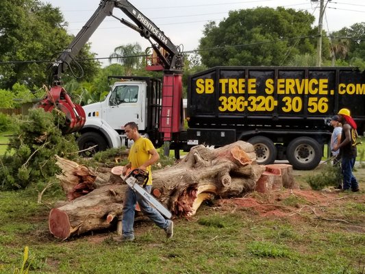 SB TREE SERVICE - Updated October 2025 - 100 Photos & 52 Reviews - 1424 ...