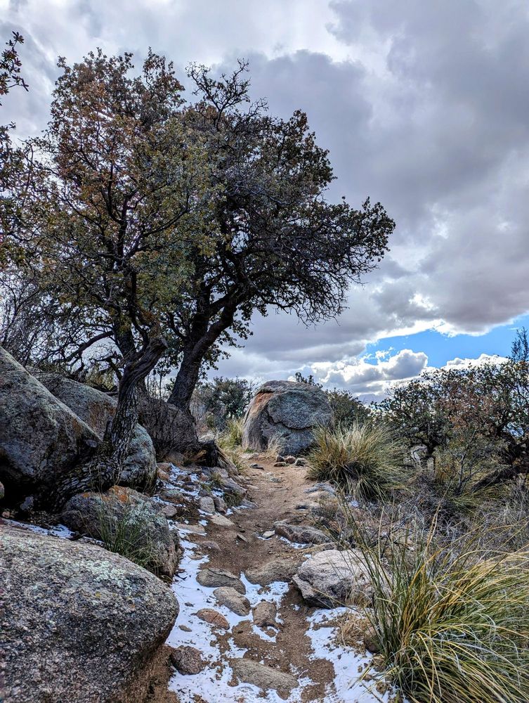 DOMINGO BACA CANYON - Cibola National Forest, Albuquerque, New Mexico ...