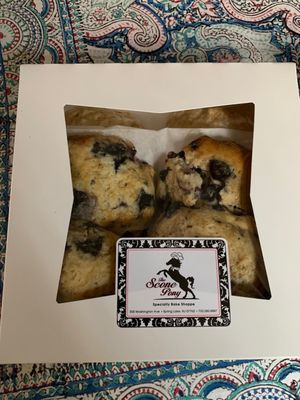 THE SCONE PONY - Updated May 2025 - 61 Photos & 134 Reviews - 305 ...