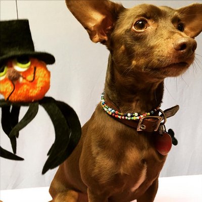 JUNK FOR JOY COSTUME & VINTAGE - Updated September 2024 - 78 Photos ...