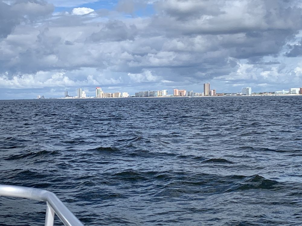 DOWN UNDER DIVE SHOP - Updated July 2024 - 27267 Perdido Beach Blvd ...