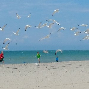 THE BEACH CLUB AT MICKEY RATS - 27 Photos & 23 Reviews - Bars - 8934 ...