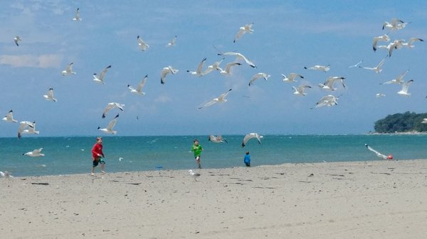 THE BEACH CLUB AT MICKEY RATS - Updated June 2025 - 37 Photos & 28 ...