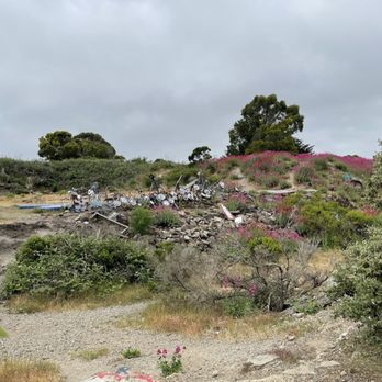 ALBANY BULB - Updated August 2025 - 1000 Photos & 248 Reviews - 1 ...