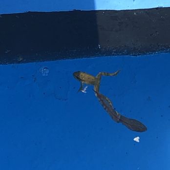 DOUBLE RR RANCH RESORT & GOLF - Updated December 2025 - 21 Photos & 30 ...