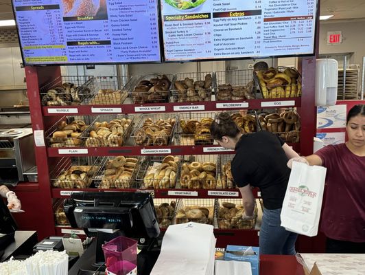 BAGEL WORLD BAKERY & DELI - Updated January 2026 - 95 Photos & 440 ...