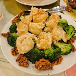 CANTON MANOR - Updated June 2024 - 511 Photos & 102 Reviews - 220-15 ...