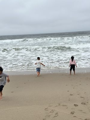 POMPONIO STATE BEACH - Updated January 2026 - 157 Photos & 49 Reviews ...