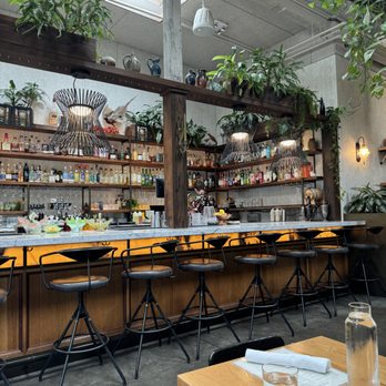 FERN BAR - Updated September 2024 - 730 Photos & 392 Reviews - 6780 ...