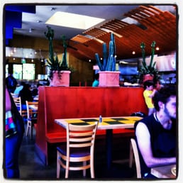CACTUS TAQUERIA - Updated December 2025 - 331 Photos & 1137 Reviews ...