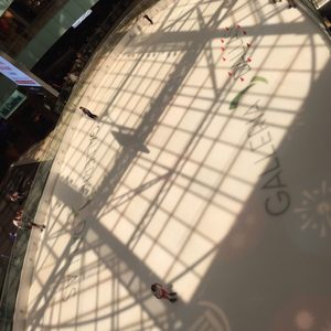 GALLERIA ICE SKATING CENTER - 38 Photos & 57 Reviews - 13350 Dallas ...