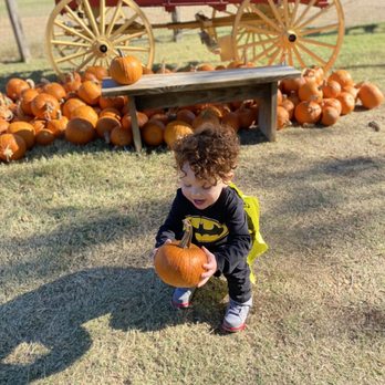 NASH FARM - Updated September 2025 - 84 Photos & 17 Reviews - 626 Ball ...