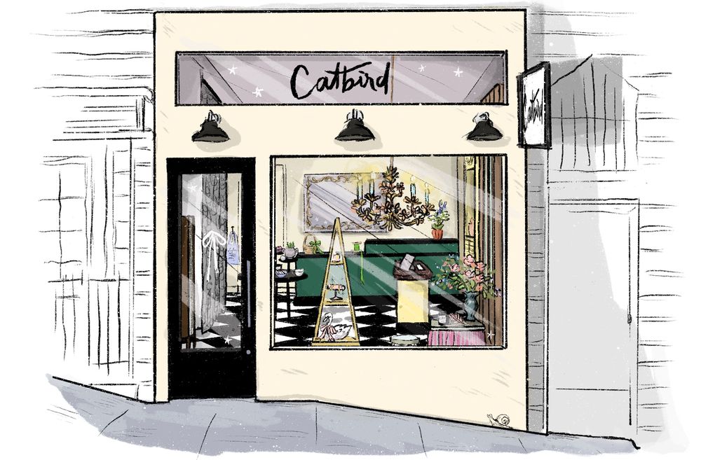 CATBIRD - SAN FRANCISCO - Updated September 2025 - 14 Photos & 16 ...