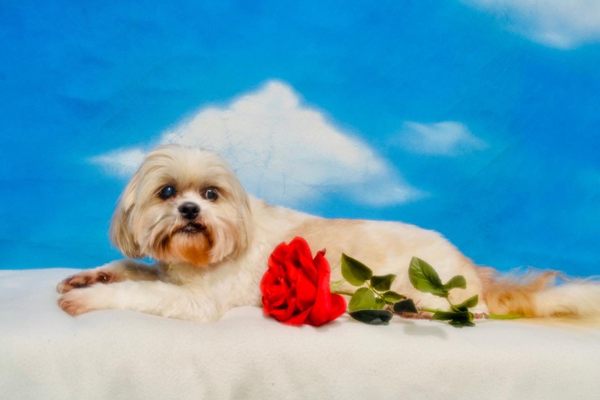 TOM’S 1 HOUR PHOTO - Updated January 2026 - 207 Photos & 205 Real ...