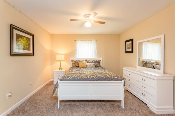 VALENCIA AT SPRING BRANCH APARTMENTS - Updated February 2025 - 15 ...