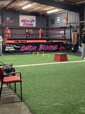 GATOR BOXING - Updated October 2025 - 12000 TX-146, Dickinson, Texas ...