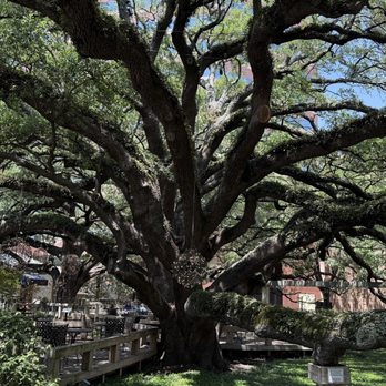 BECKS PRIME - Updated September 2025 - 161 Photos & 177 Reviews - 2615 ...