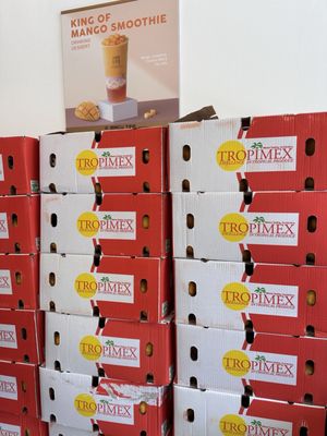 MACU TEA - Updated December 2025 - 64 Photos & 33 Reviews - 1331 Robson ...