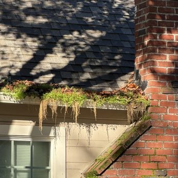 TINER PROPERTIES - Updated January 2026 - 58 Photos & 231 Reviews ...