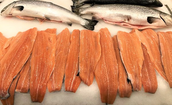 J DELUCA FISH COMPANY - Updated November 2024 - 52 Photos & 16 Reviews ...