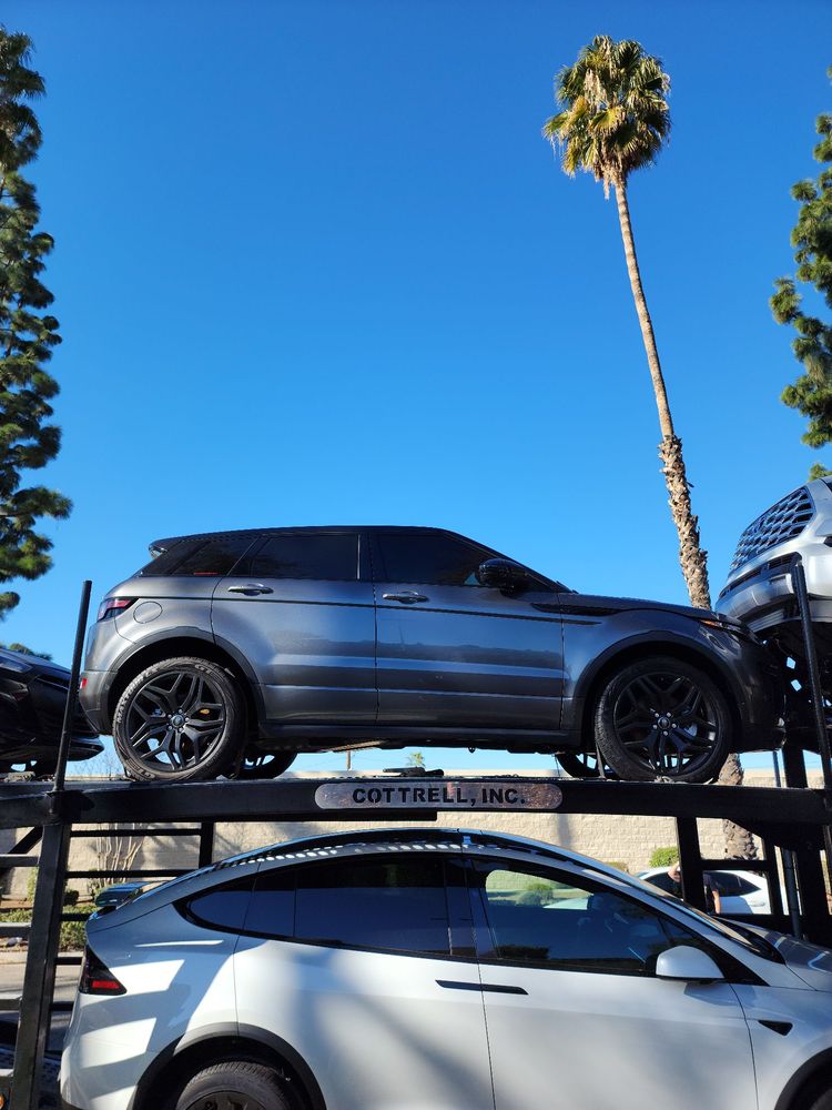 CARVISION - Updated February 2025 - 39 Photos & 62 Reviews - 2791 Nj-73 ...