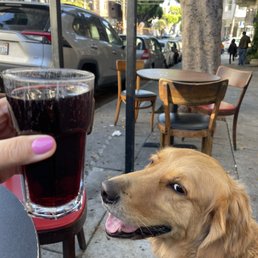 ZA PIZZA - Updated July 2025 - 371 Photos & 1283 Reviews - 1919 Hyde St ...