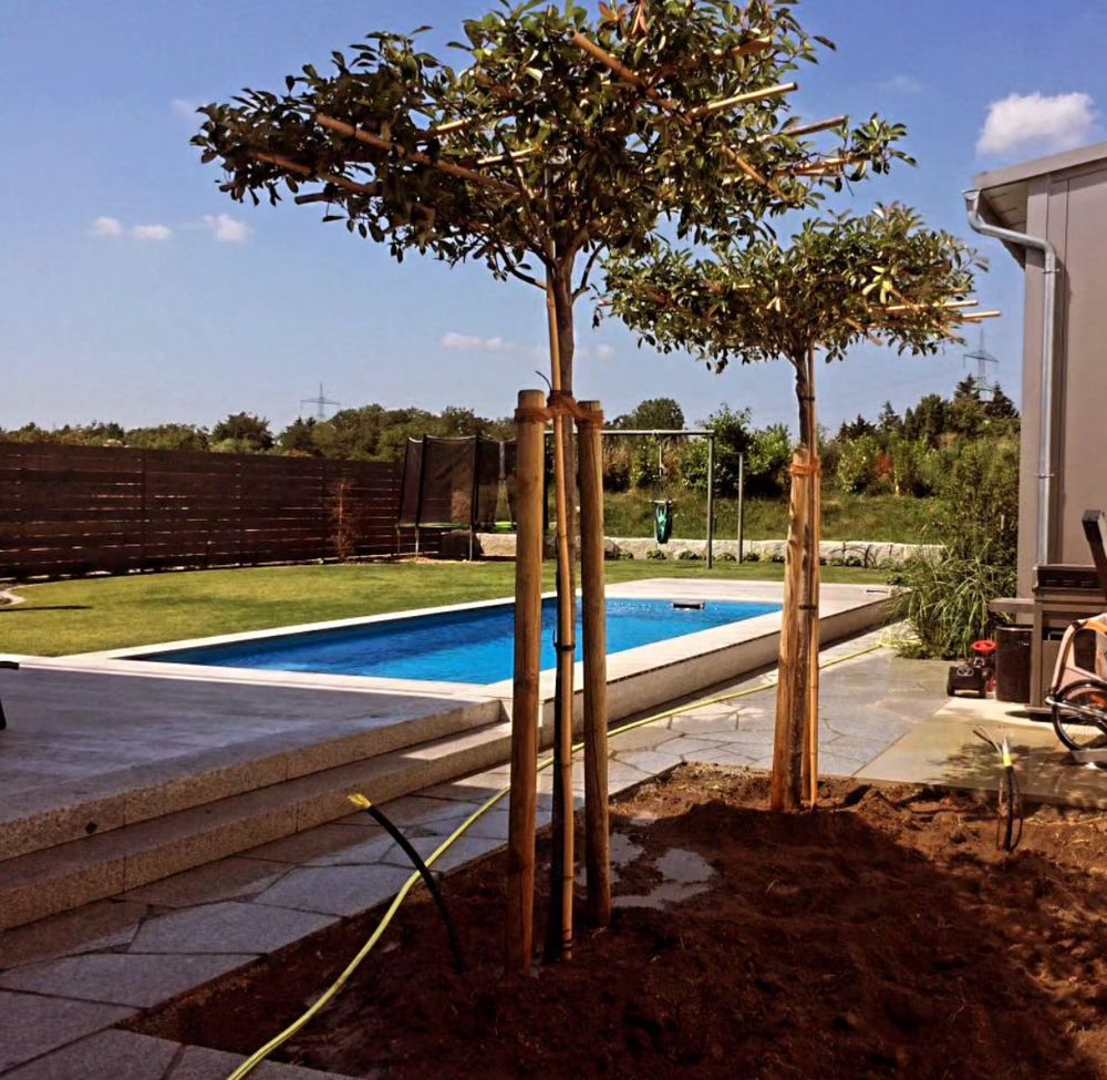 THE HILLS BROTHERS ECOSCAPE - Updated September 2024 - 12 Photos ...