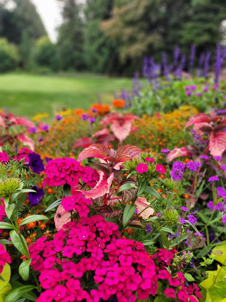 FRASERVIEW GOLF COURSE - Updated June 2026 - 89 Photos & 21 Reviews ...