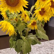 BUTLER’S ORCHARD - 524 Photos & 315 Reviews - Farmers Market - 22222 ...