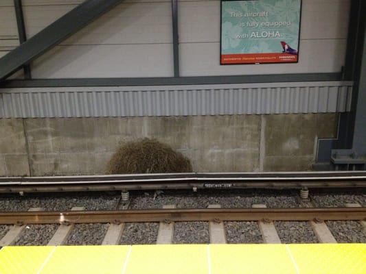 BART BLUE LINE - Updated June 2025 - 14 Reviews - Dublin, California ...