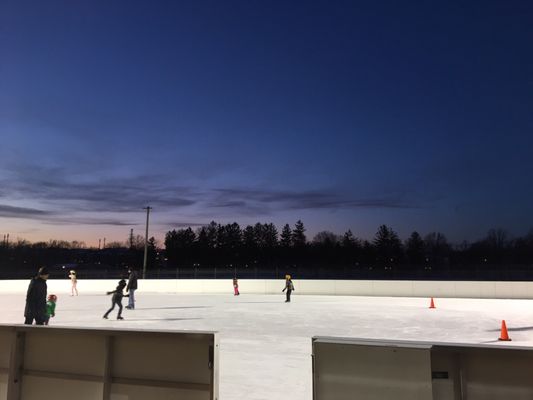 ROOSEVELT PARK FAMILY ICE SKATING RINK - 12 Photos & 16 Reviews - 151 ...