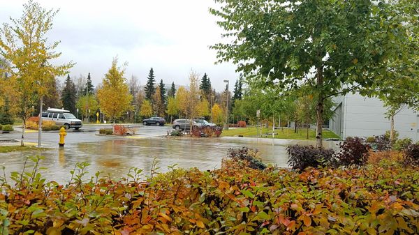 PROVIDENCE ALASKA MEDICAL CENTER - Updated December 2025 - 43 Photos ...