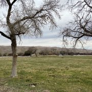 SPRING MOUNTAIN RANCH STATE PARK - 961 Photos & 129 Reviews - 6375 Hwy ...