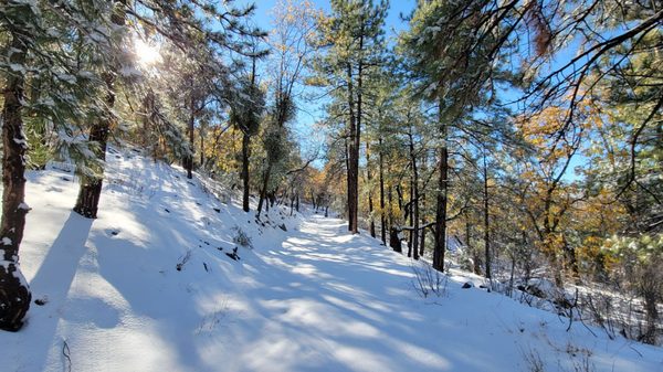 JENKS LAKE - Updated December 2025 - 211 Photos & 48 Reviews - 34701 ...