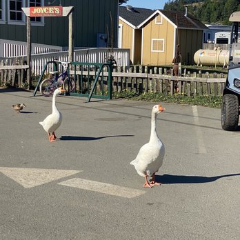 CASINI RANCH FAMILY CAMPGROUND - Updated July 2024 - 515 Photos & 525 ...