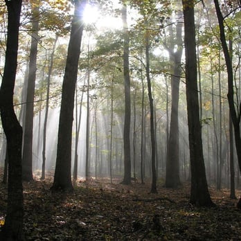 MURPHIN RIDGE INN - Updated August 2025 - 27 Photos - 750 Murphin Ridge ...