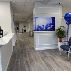 PRECISION REHAB OCCUPATIONAL PHYSICAL & HAND THERAPY - 20 Photos - 245 ...