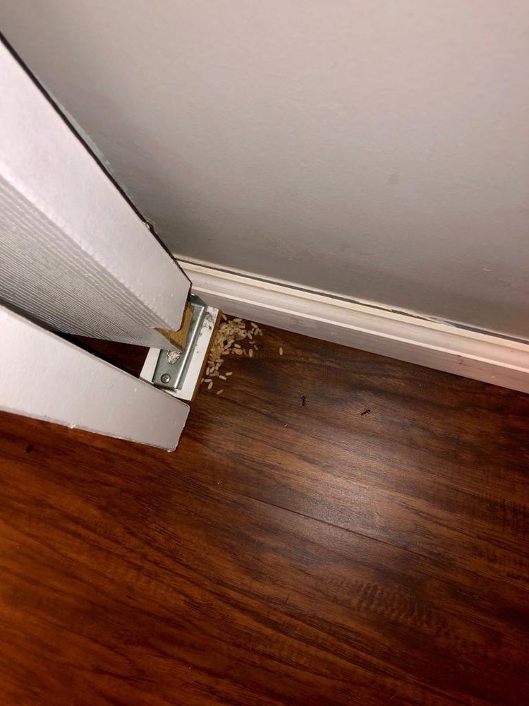 TITAN MANAGEMENT GROUP - Updated September 2025 - 27 Reviews - San ...