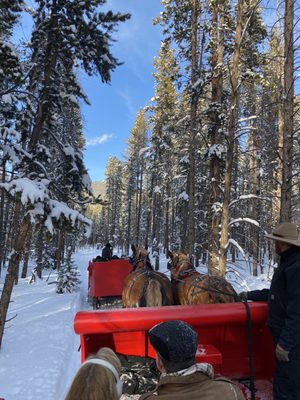 GOLDEN HORSESHOE SLEIGH RIDES - Updated December 2025 - 99 Photos & 65 ...
