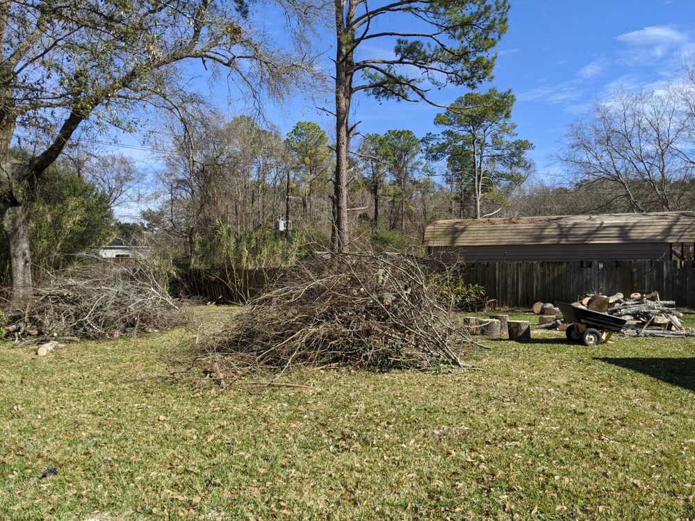 TREE WISE MEN - Updated January 2025 - Houston, Texas - Tree Services ...