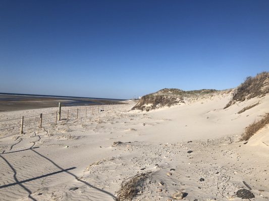 CHAPIN MEMORIAL BEACH - Updated April 2025 - 89 Photos & 33 Reviews ...